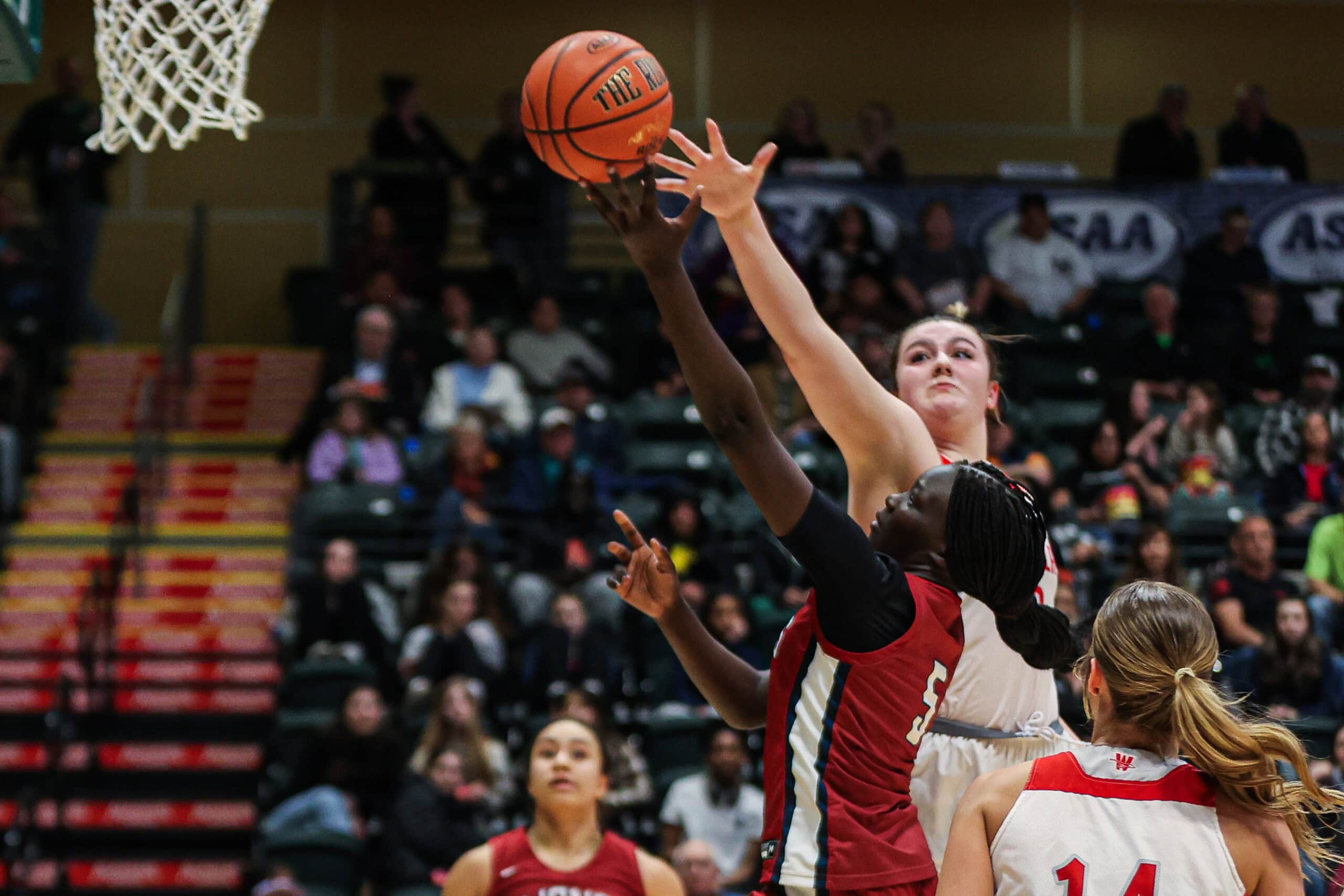 Mylee Anderson’s all-star turn lifts top-ranked Wasilla girls over ...
