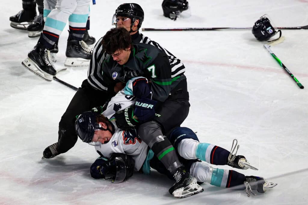 Minnesota wallops Wolverines 9-2 to spoil Anchorage's home opener ...